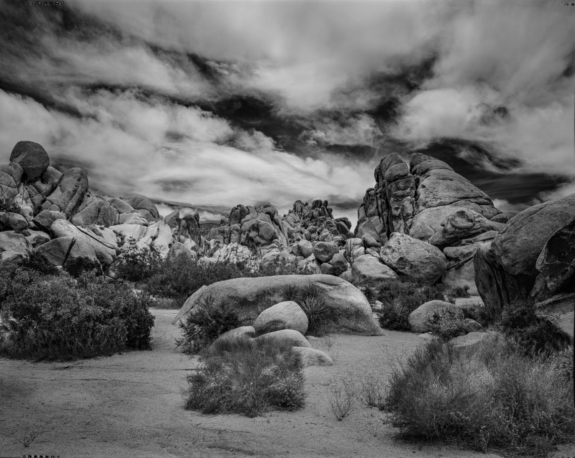 Gordon Clark — Plate 64, 2020 - Joshua Tree Gallery of Contemporary Art